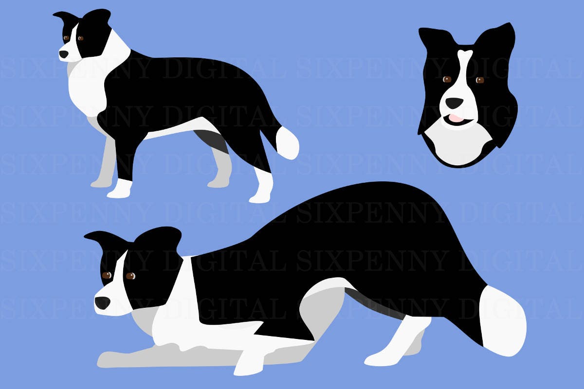 Border Collie Clipart, Digital Image, Printable Border Collie Art ...