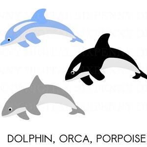 Dolphin Clip Art, Orca Clip Art, Porpoise Clip Art, Killer Whale Clip ...