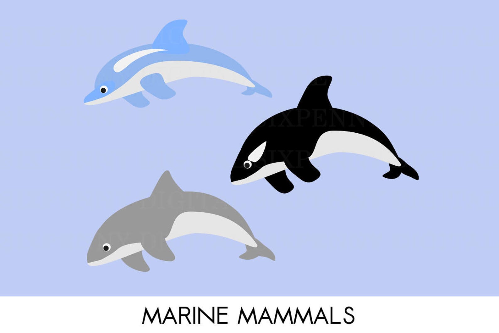 Dolphin Clip Art, Orca Clip Art, Porpoise Clip Art, Killer Whale Clip ...