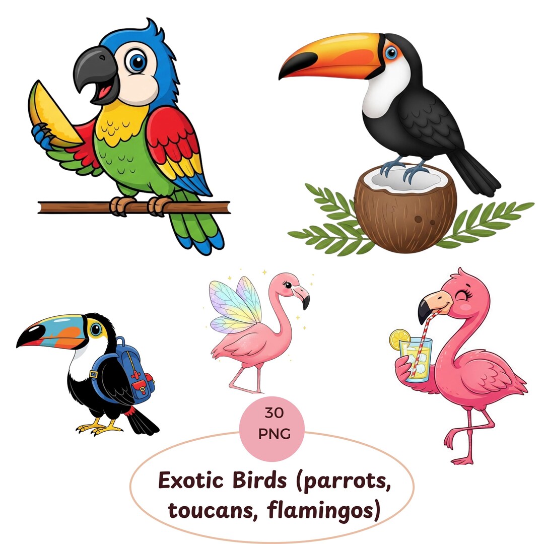 Exotic Birds Clipart: Tropical PNG Set (parrots, Toucans, Flamingos) - Etsy