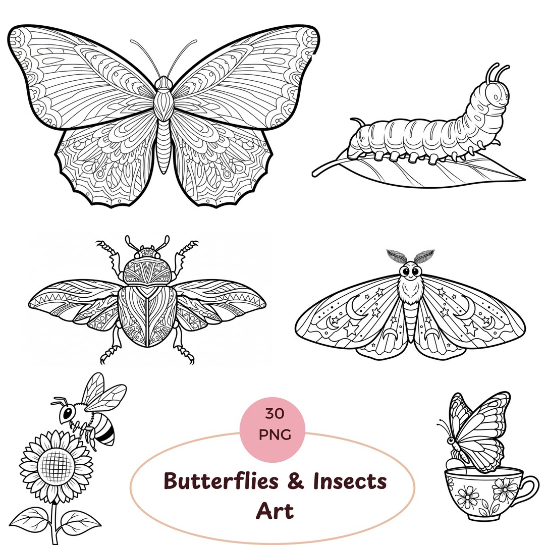 Butterflies & Insects Art Coloring Book | Beautiful Butterfly, Bee ...