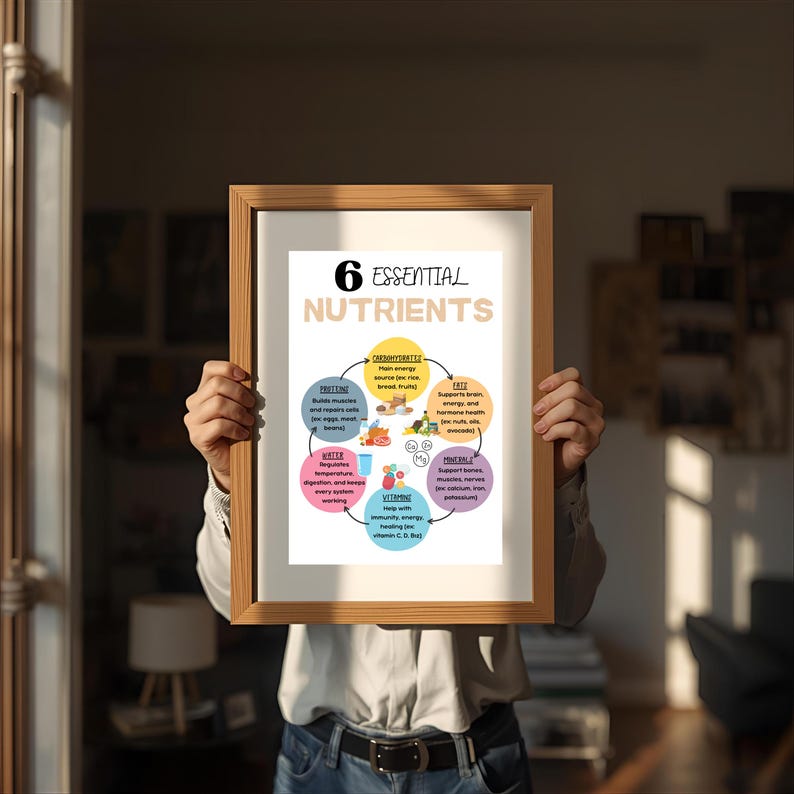 6 Essential Nutrients Poster, Nutrition Wall Art, Health Science ...