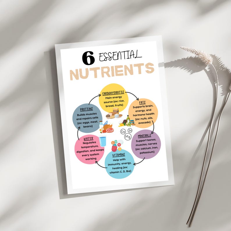 6 Essential Nutrients Poster, Nutrition Wall Art, Health Science ...