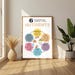 6 Essential Nutrients Poster, Nutrition Wall Art, Health Science ...