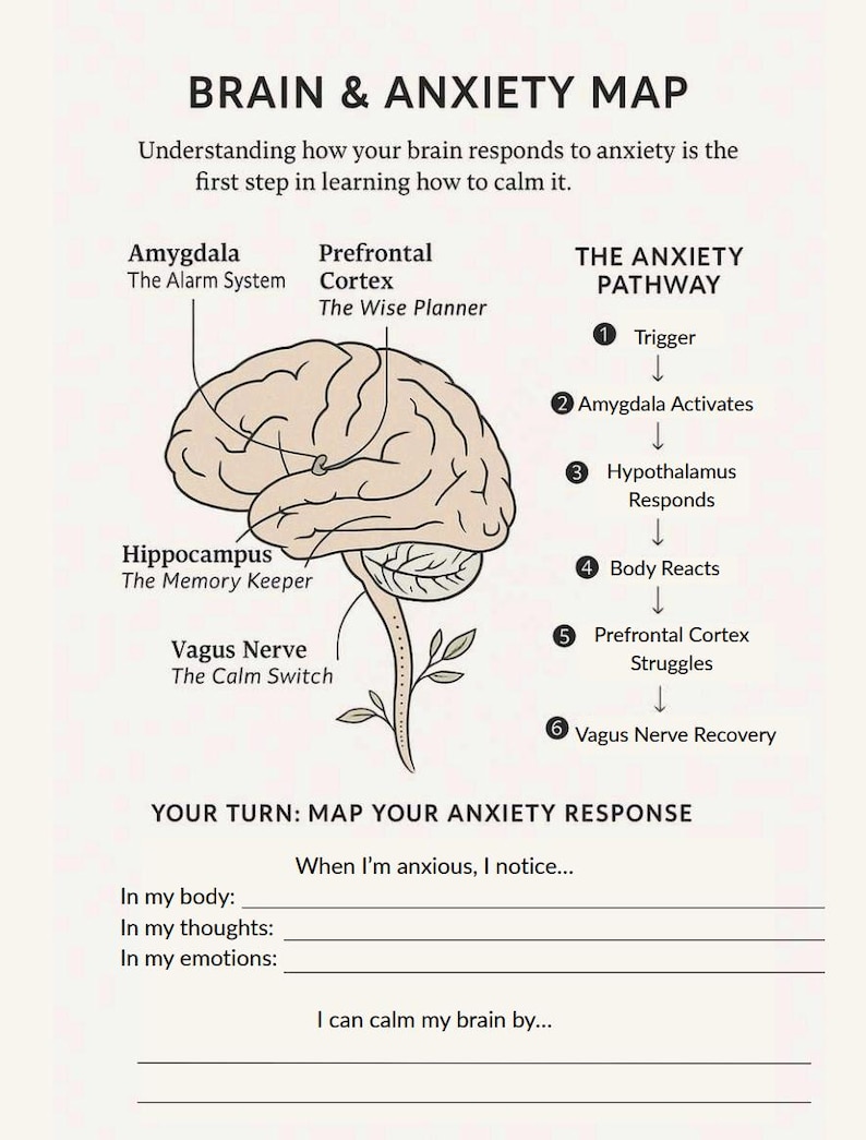 Rewiring Anxiety Workbook | Brain-based Techniques for Stress, Panic ...
