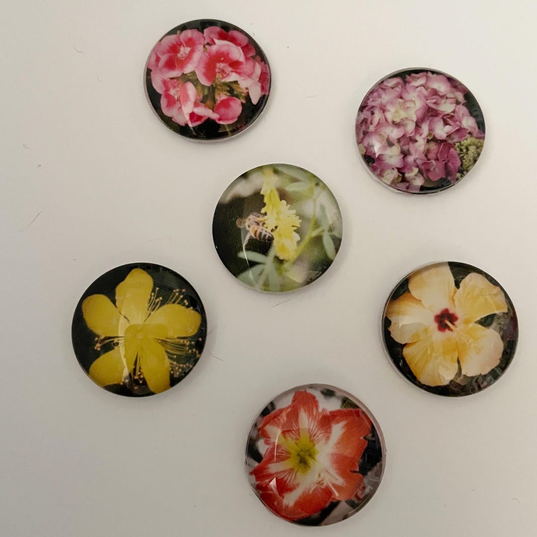 Set of Floral Photo Magnets, Photo Magnets, Photography, Magnets ...