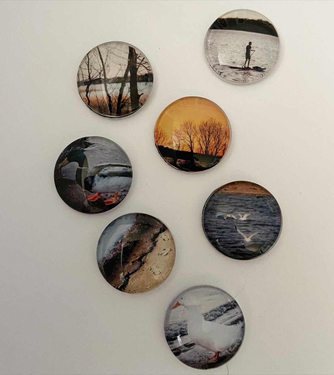 Set of Nature Photo Magnets, Photo Magnets, Photography, Magnets ...