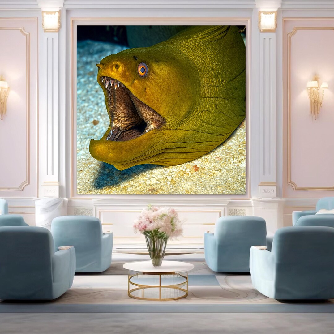 Green Moray Eel Photo | Cozumel Reef Print | Underwater Marine Life ...