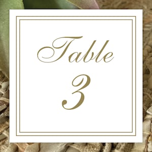 Gold Table Numbers With Border, Formal Wedding Table Number Cards ...