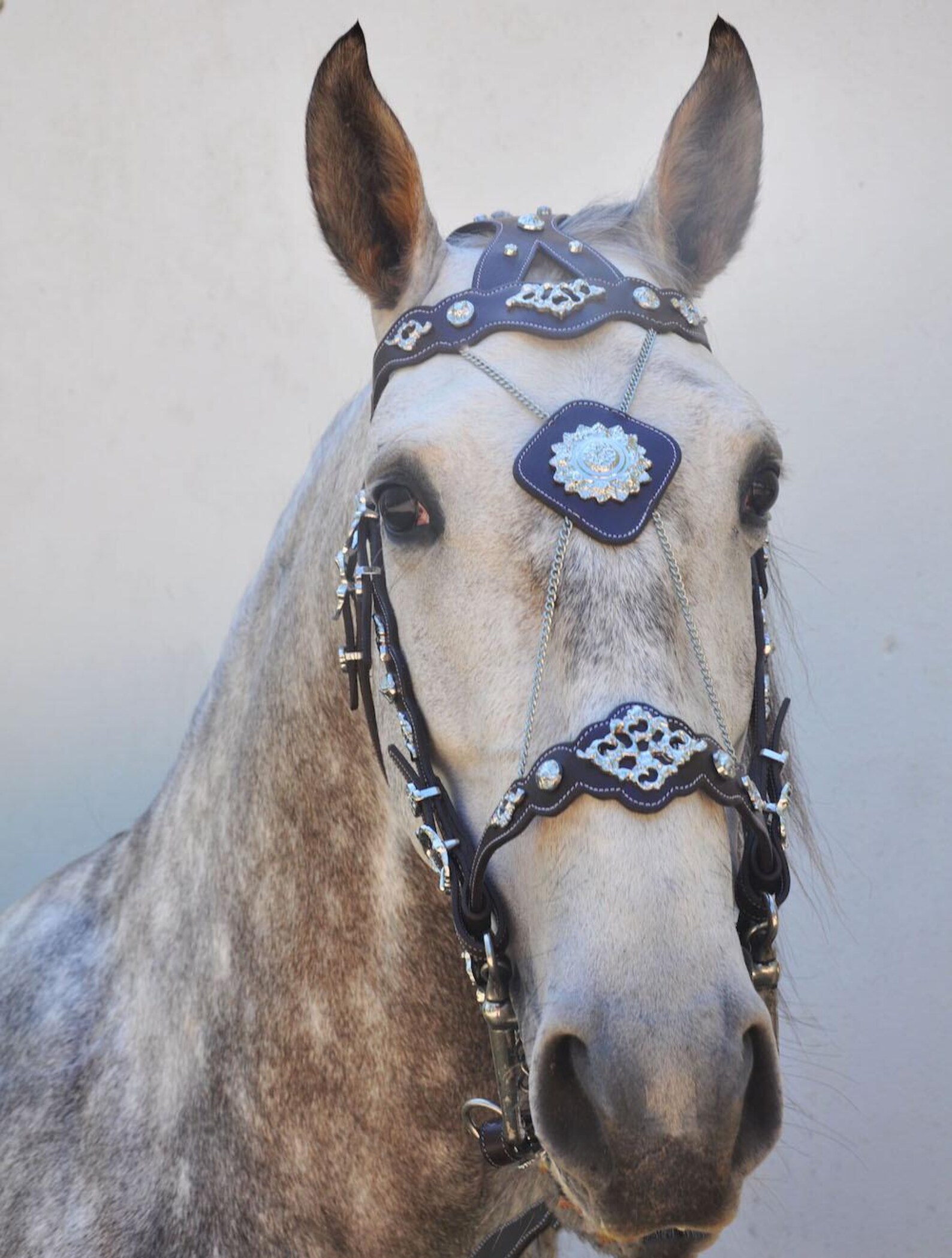 Fancy Horse Bridle With Reins and Breastplate Premium Quality Cowhide ...