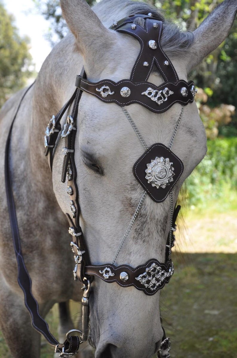 Fancy Horse Bridle With Reins and Breastplate Premium Quality Cowhide ...