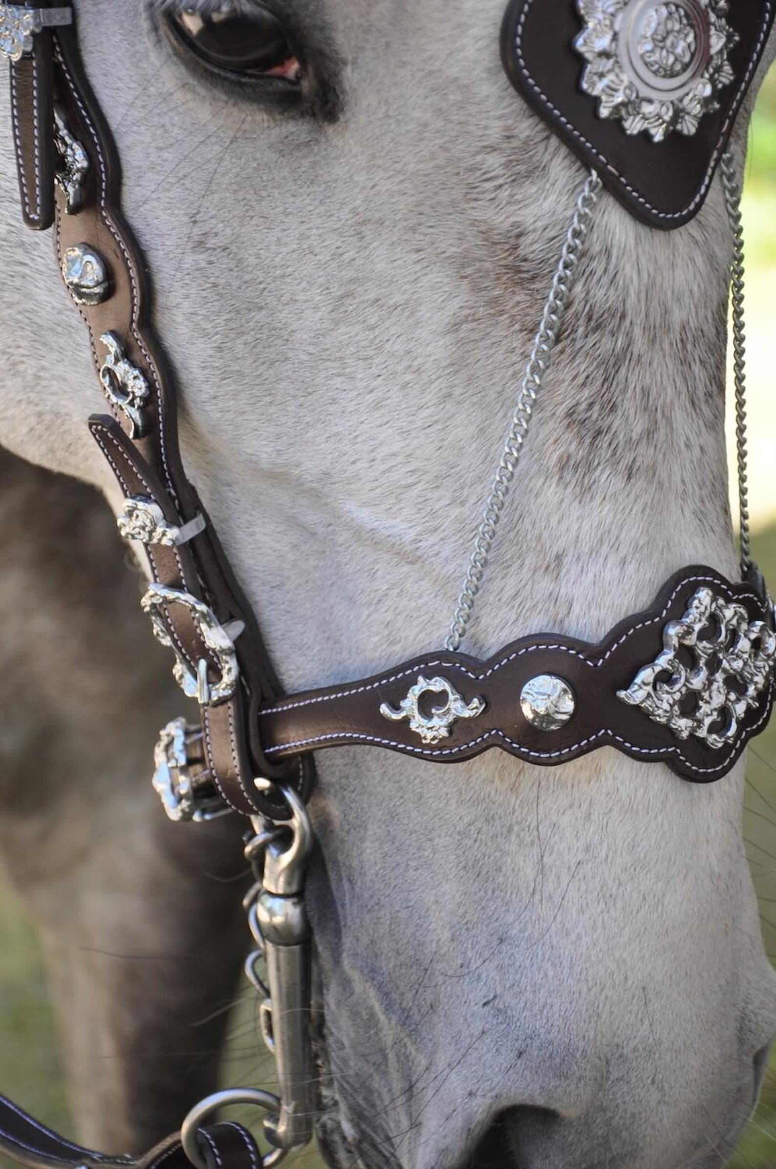 Fancy Horse Bridle With Reins and Breastplate Premium Quality Cowhide ...