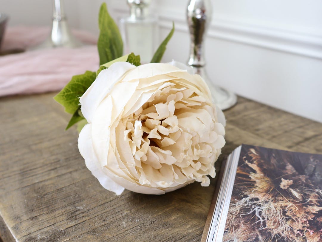 Vanilla Cream Rose Stem – Elegant Rose for Wedding Bouquets, Vintage ...
