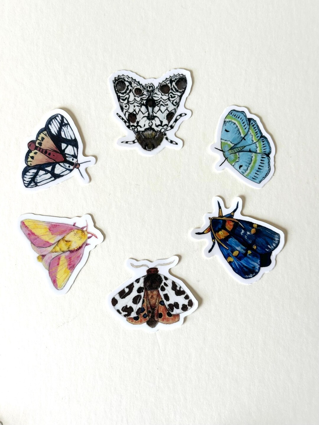 Moth Stickers – Waterproof Vinyl Stickers of Painted Moths - Etsy