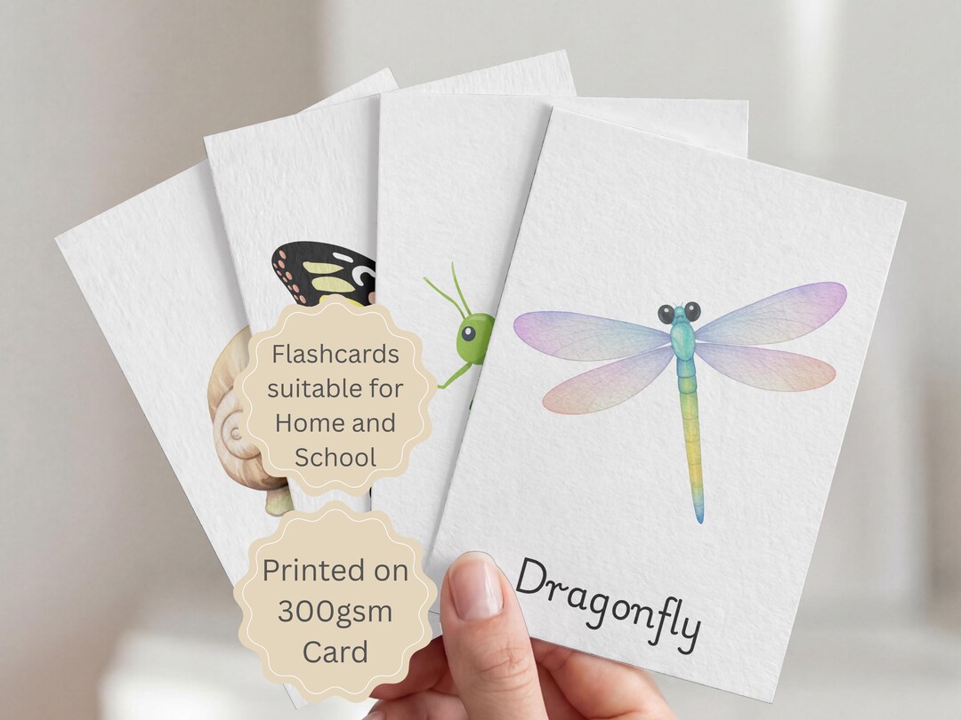 Bugs Insects Flashcards, Printed, Toddler Preschool Learning Activities ...