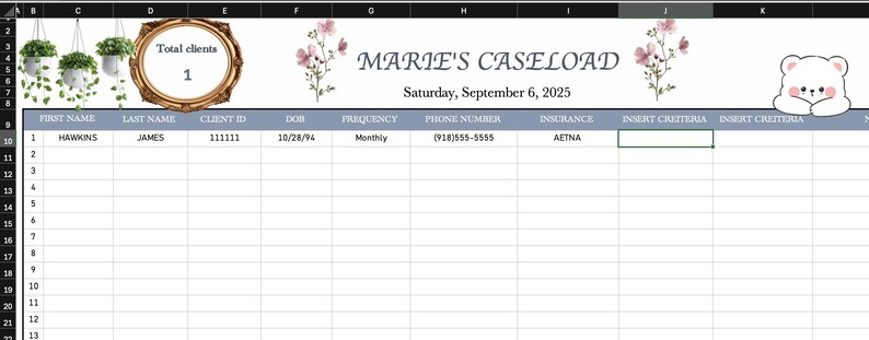 Caseload Tracker | Therapy Spreadsheet | Editable Digital Download for ...