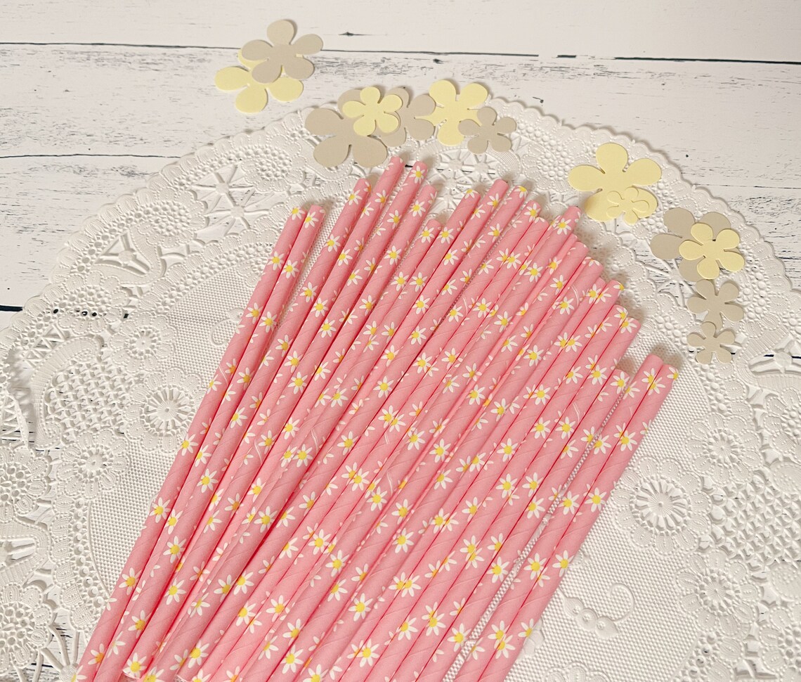Pink Daisy Straws Spring Party Vintage Style Paper Daisy - Etsy