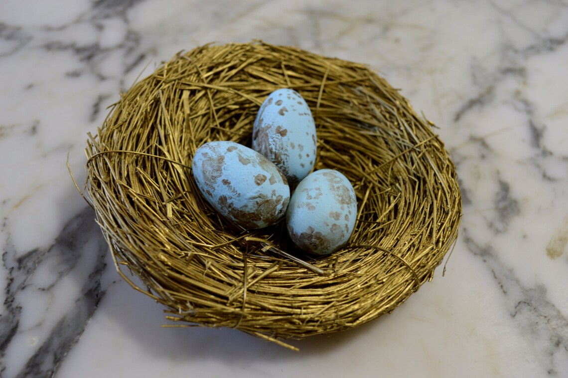 Hand Painted Robin's Eggs Wood Decor - Etsy