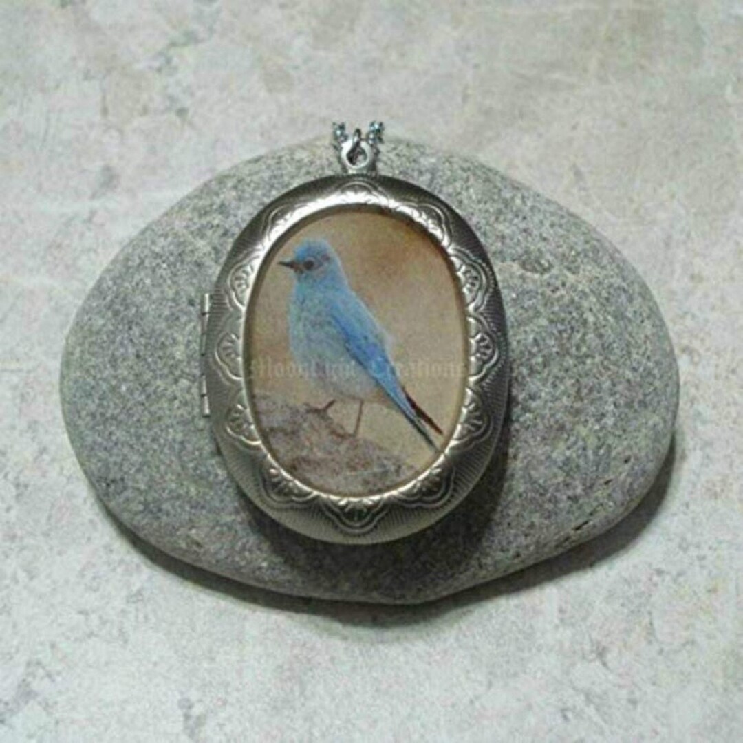 Bluebird Locket Necklace Stainless Steel - Etsy