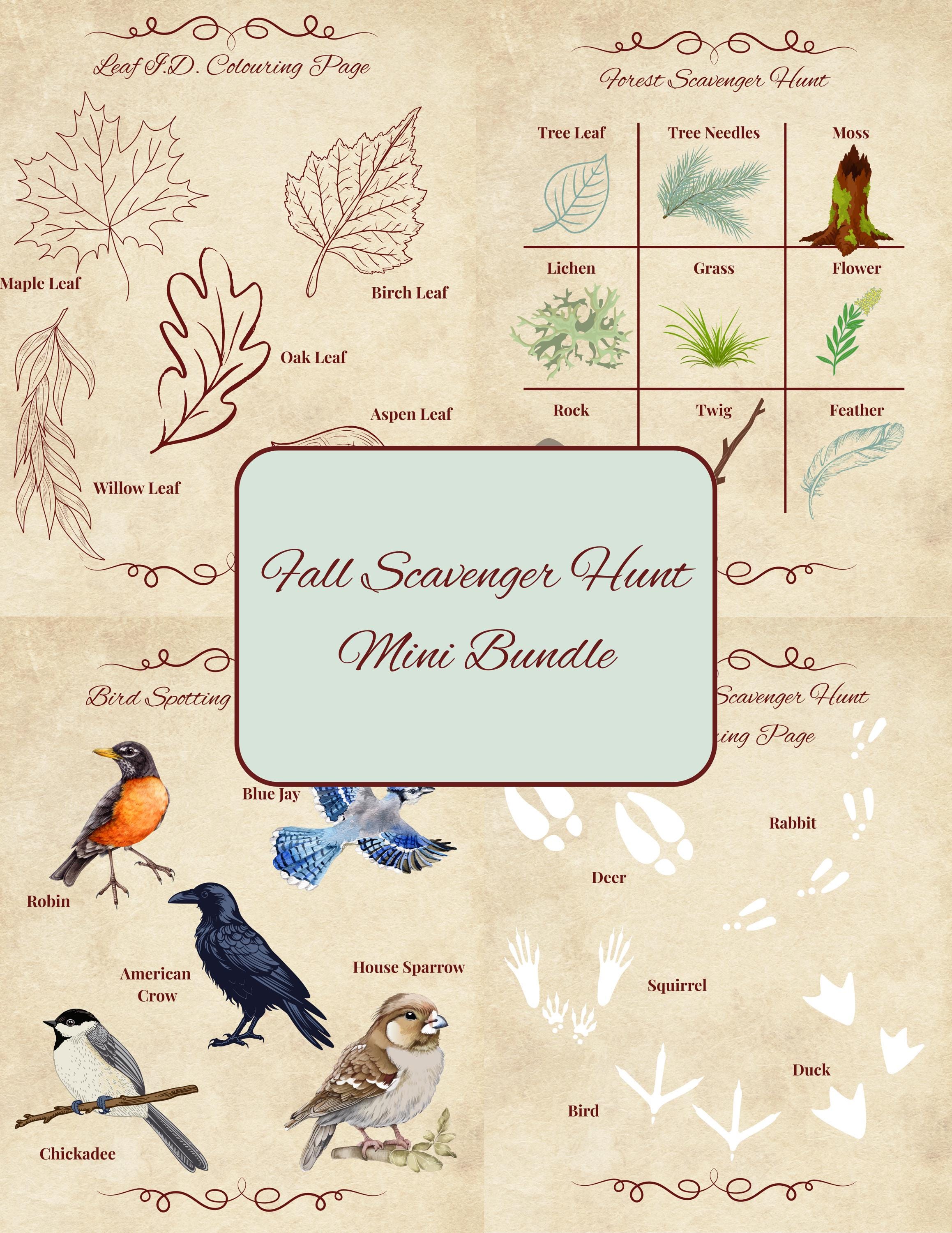 Autumn Scavenger Hunt Printables Bundle | Fall Nature Activities for ...