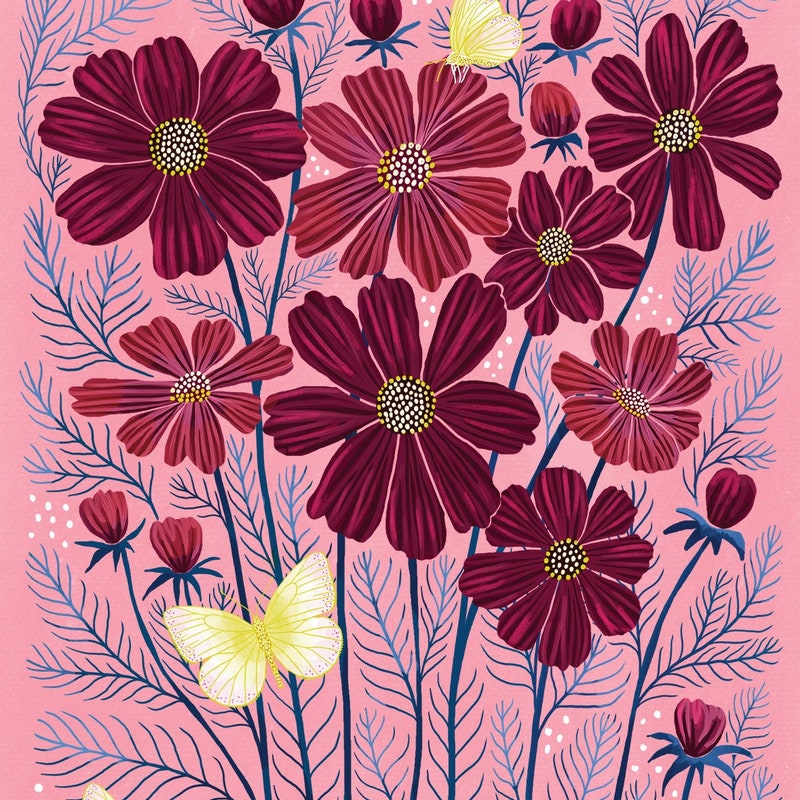 Vintage Cosmos Plants - Etsy