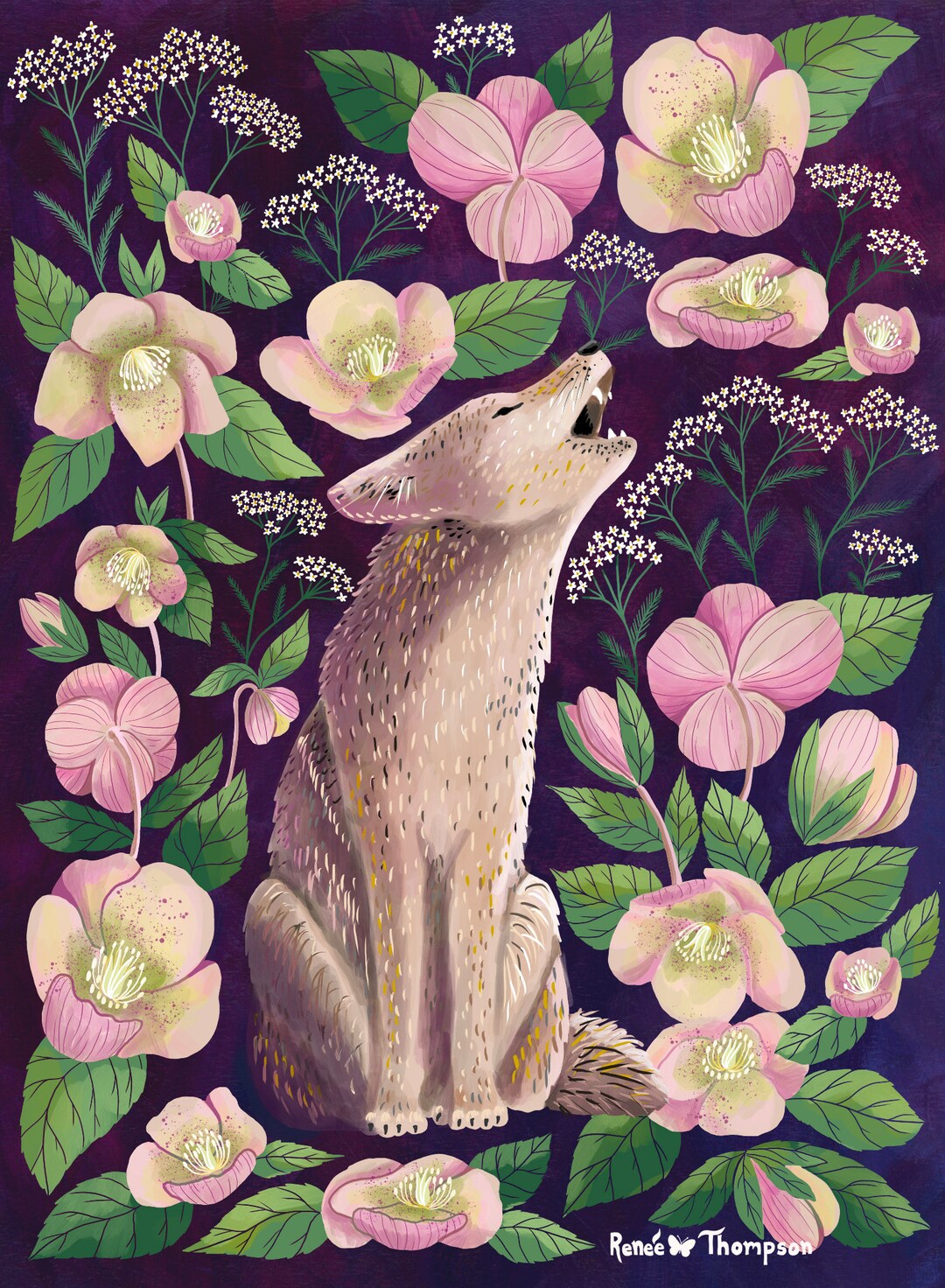Coyote and Hellebores PRINT - Wildlife Wall Art, Coyote Art Print ...