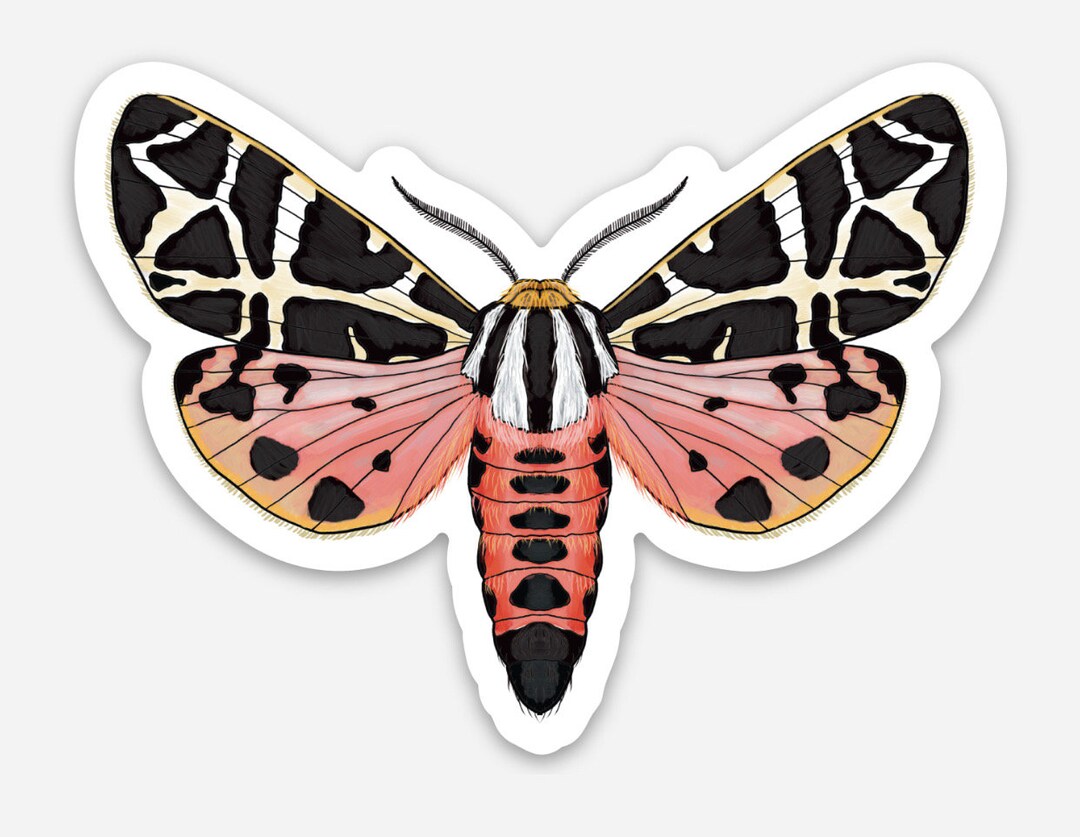 Apantesis Incorrupta Moth VINYL WATERPROOF STICKER - Etsy