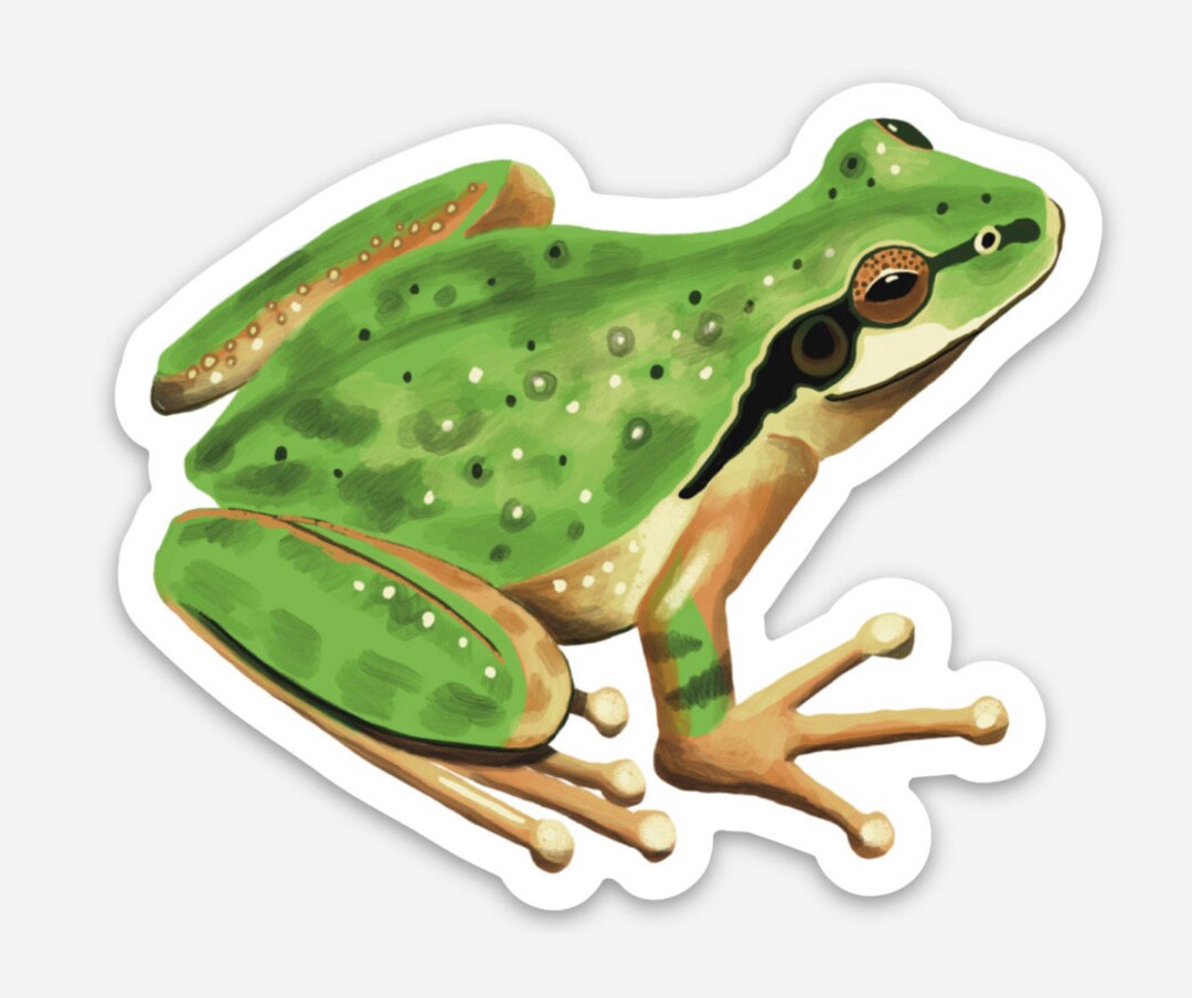 Pacific Green Tree Frog VINYL WATERPROOF STICKER - Etsy
