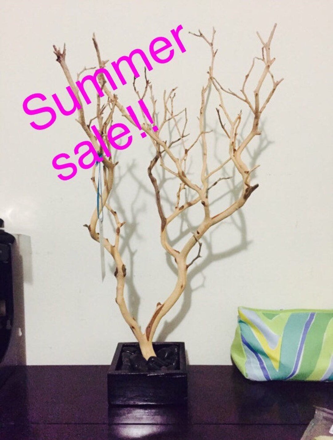 19 Natural Jewelry Tree With Black Box and Black Rocks / - Etsy