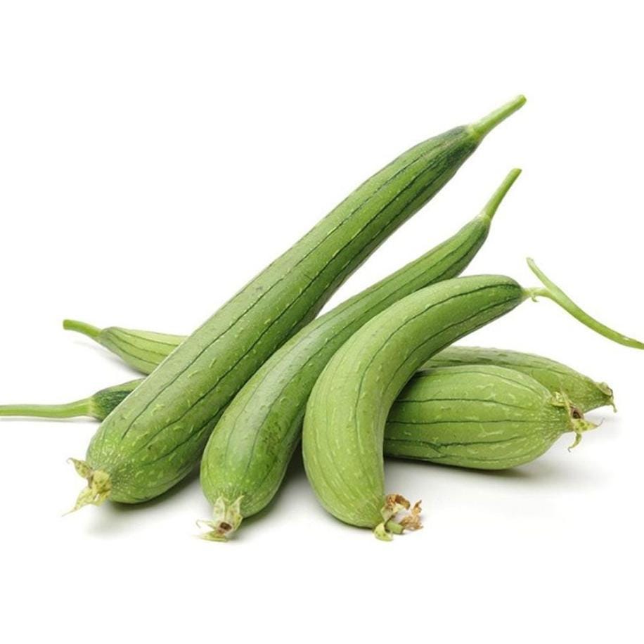 5 Gr (15 Seeds) Smooth Luffa Seeds for Planting, Muop Huong, Sponge ...