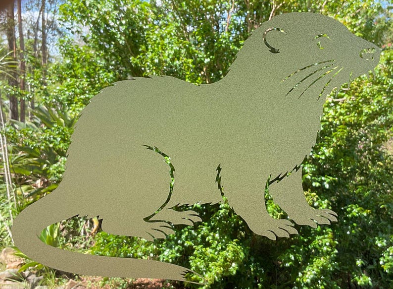 Australian Water Rat - Rakali Etched Glass Animal Décor | Reusable ...