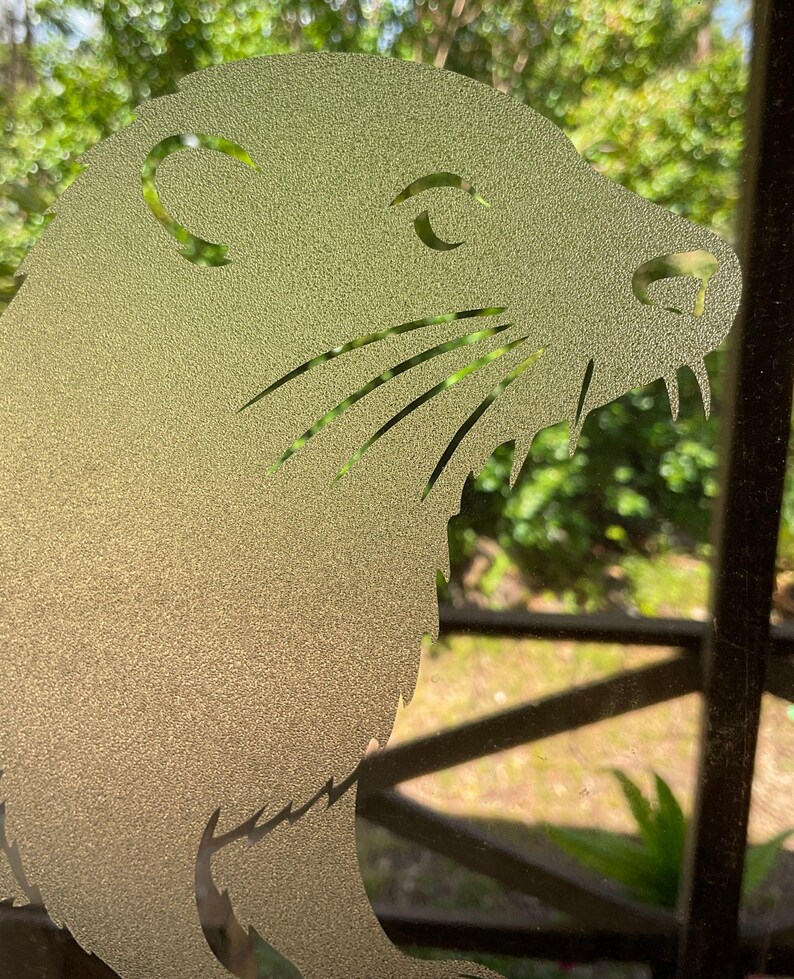 Australian Water Rat - Rakali Etched Glass Animal Décor | Reusable ...