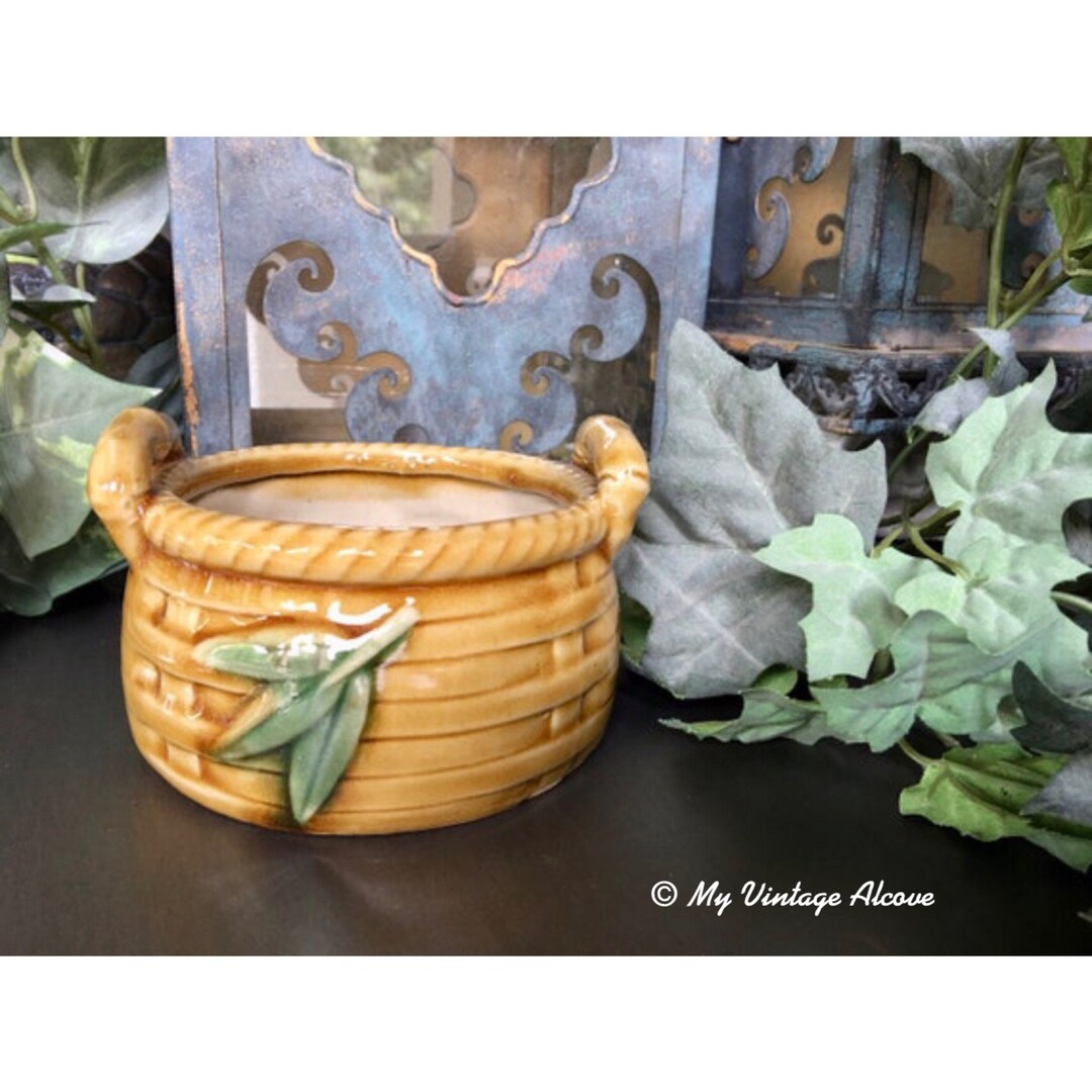 Ceramic Bamboo Planter, Ceramic Pot for Bamboo Plant, Small Bamboo ...