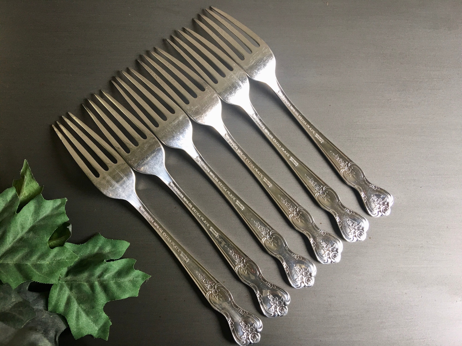 Wm Rogers Mfg Co Extra Plate, Original Rogers Silverplate, Magnolia ...