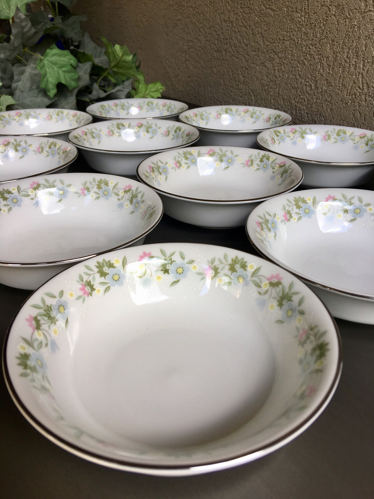 Johann Haviland Bavaria Germany Forever Spring China Set | Etsy
