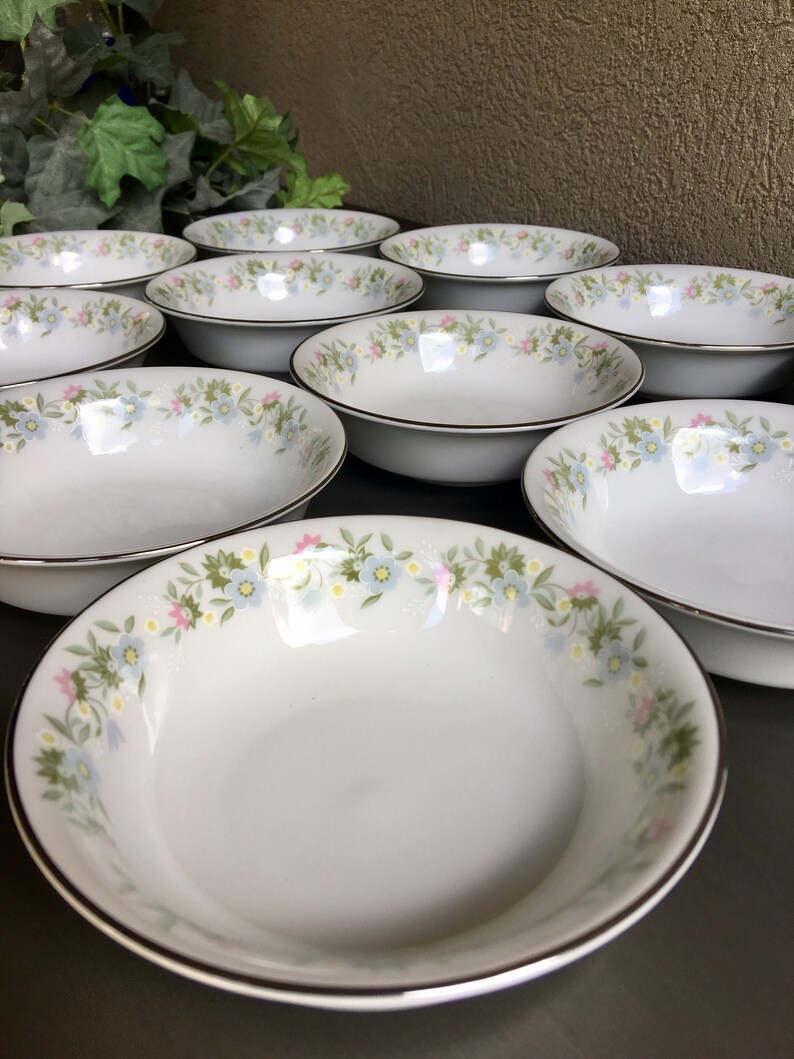 Johann Haviland Bavaria Germany Forever Spring China Set | Etsy