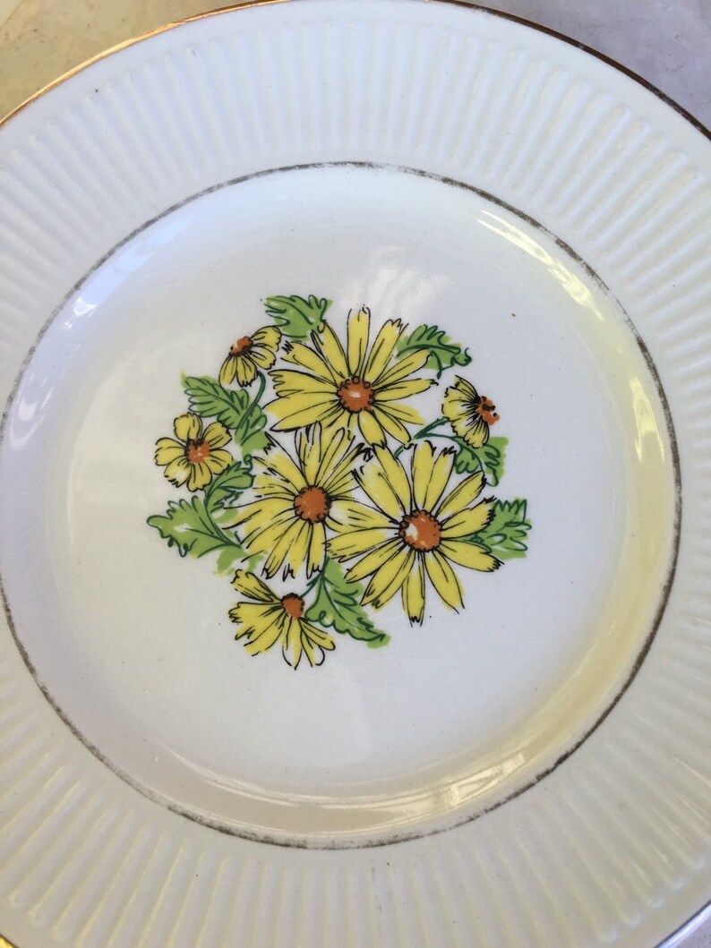 Daisy Plates Daisy Pattern Dishes Staffordshire Summertime - Etsy