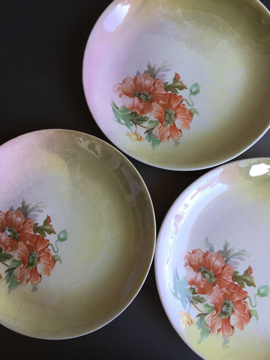 Poppy Plates, Antique Hand Painted Plates, Antique Porcelain Plates - Etsy