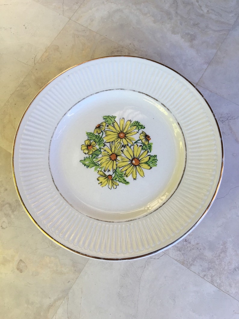 Daisy Plates Daisy Pattern Dishes Staffordshire Summertime - Etsy