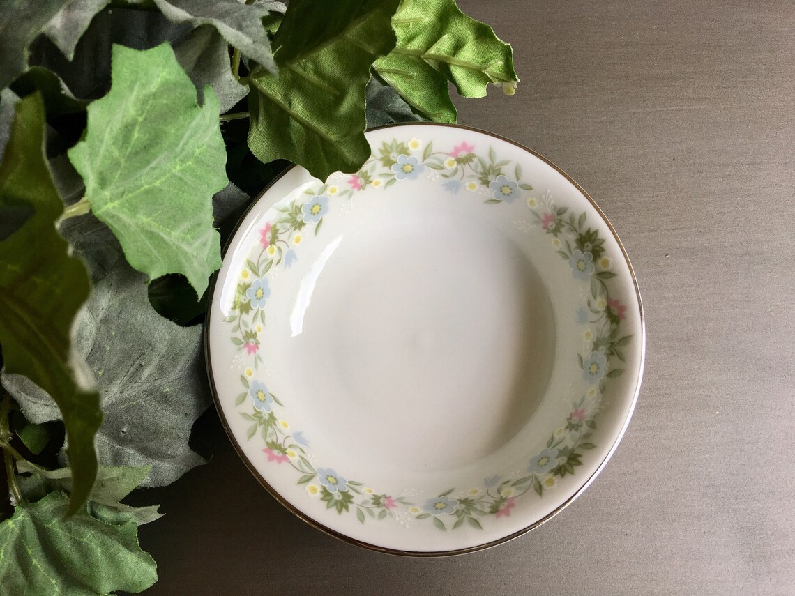 Johann Haviland Bavaria Germany Forever Spring China Set | Etsy