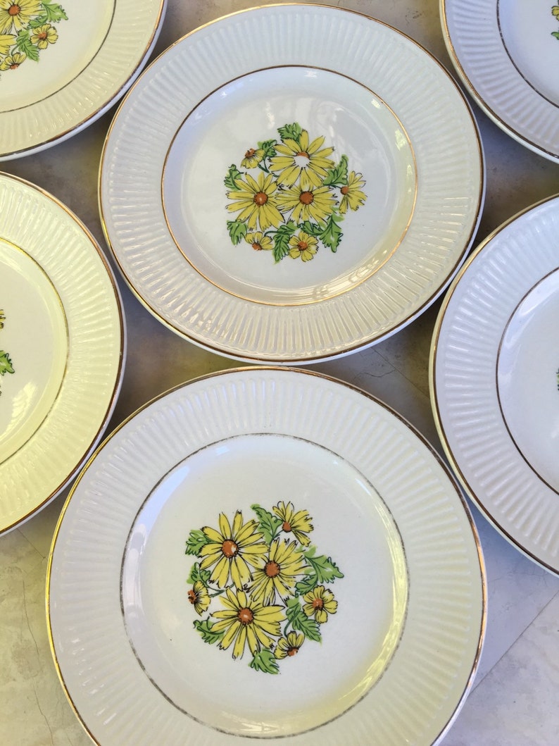 Daisy Plates Daisy Pattern Dishes Staffordshire Summertime - Etsy