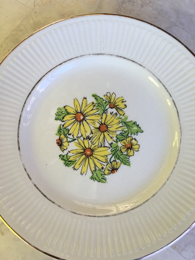 Daisy Plates Daisy Pattern Dishes Staffordshire Summertime - Etsy