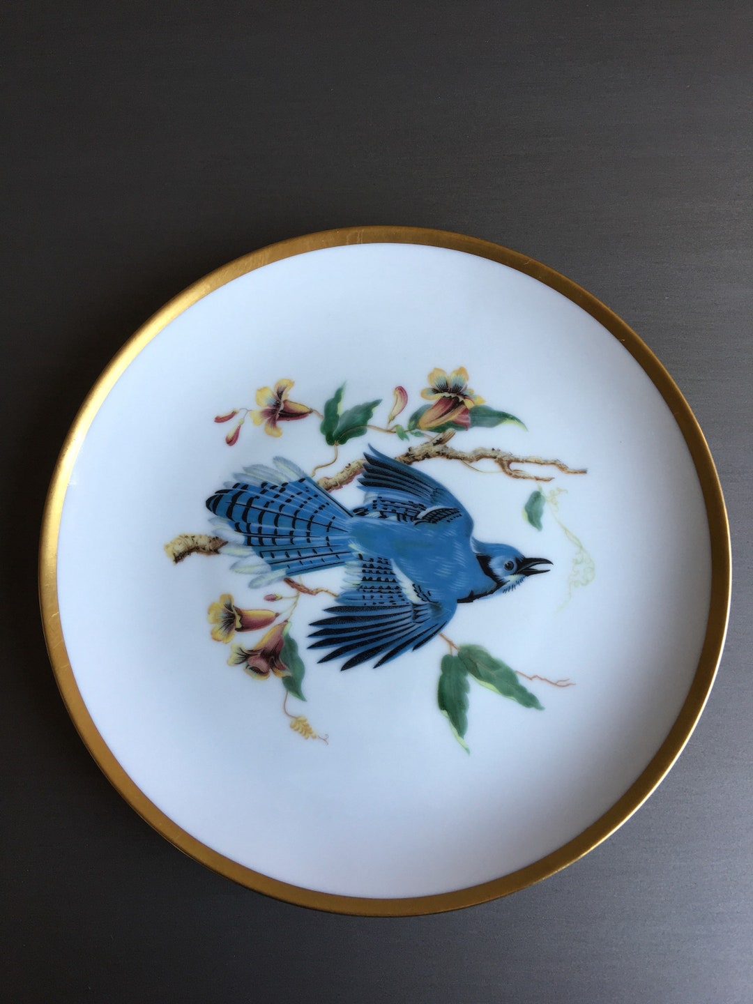 Audubon Bird Plate, Vintage Bird Plate, Bird Salad Plate, Blue Jay ...