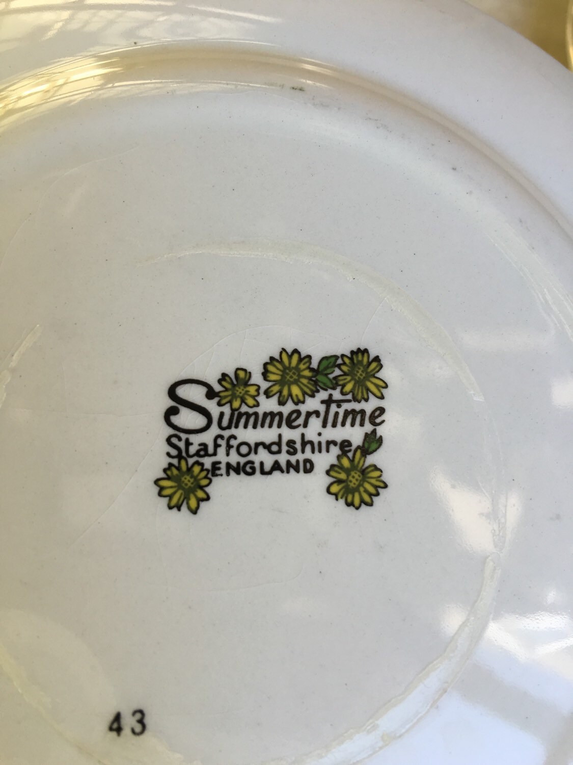 Daisy Plates Daisy Pattern Dishes Staffordshire Summertime - Etsy