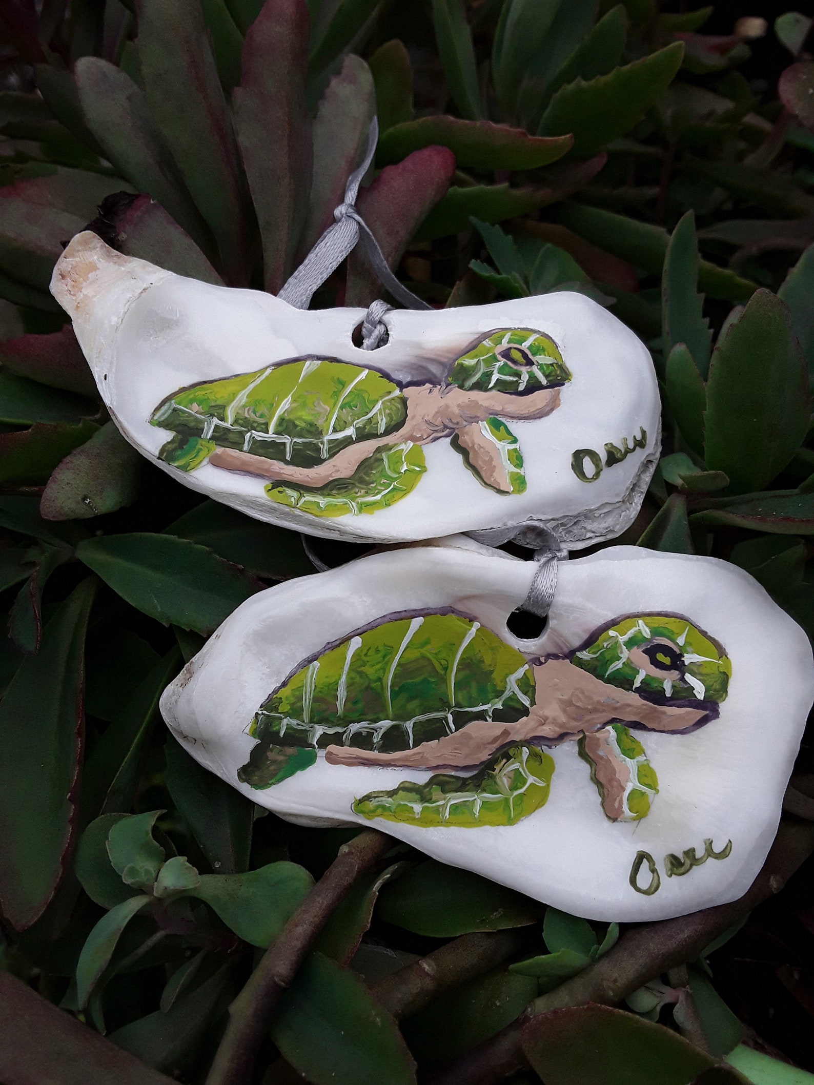 Sea Turtle Oyster Shell Ornament - Etsy