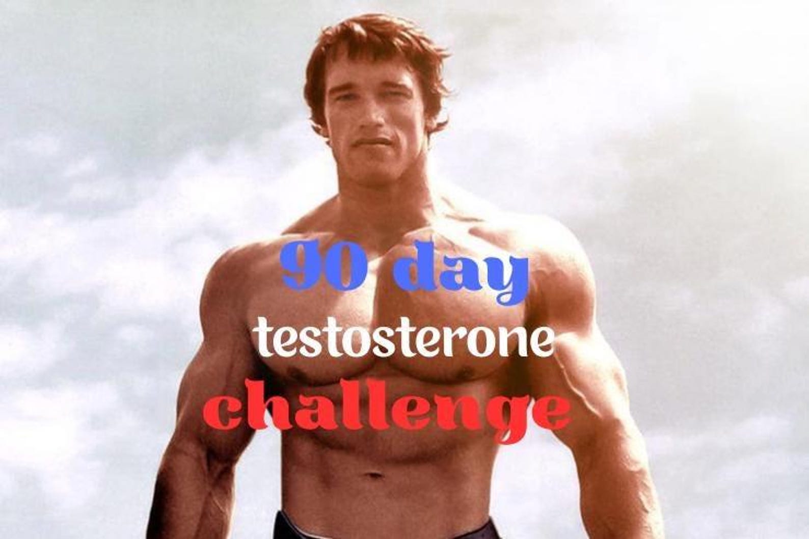90-day Testosterone Challenge | Boost Strength, Energy & Confidence ...