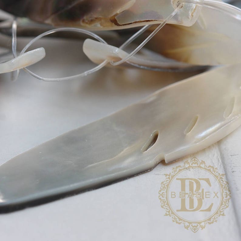 One Piece / Shell / Feather / Pendant / Semiprecious Stone / - Etsy