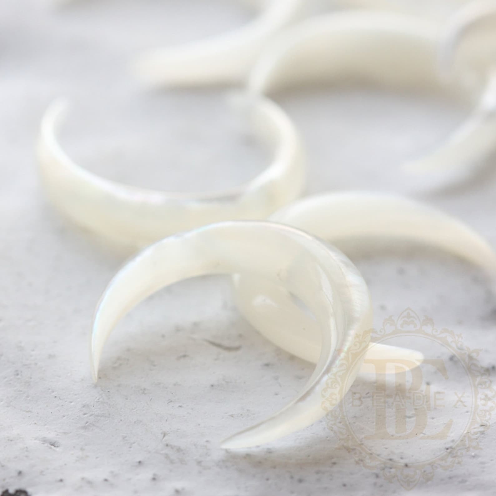 One Piece / White / Shell / Ocean Shell / Charm / Moon (B309) - Etsy