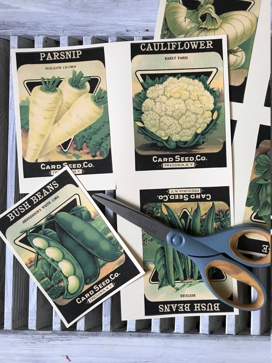 PRINTABLE Vegetable Seed Packets Banner, Springtime Bunting, Veggie ...