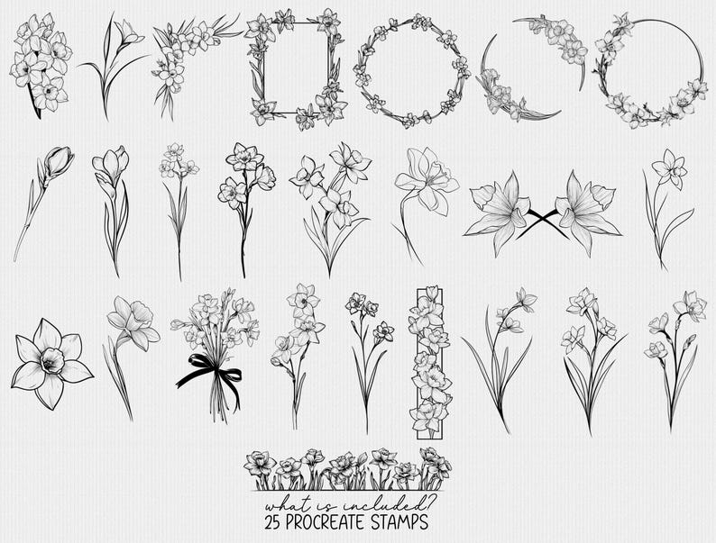 March Birth Month Flower Designs | Procreate Birth Flowers | Birth ...